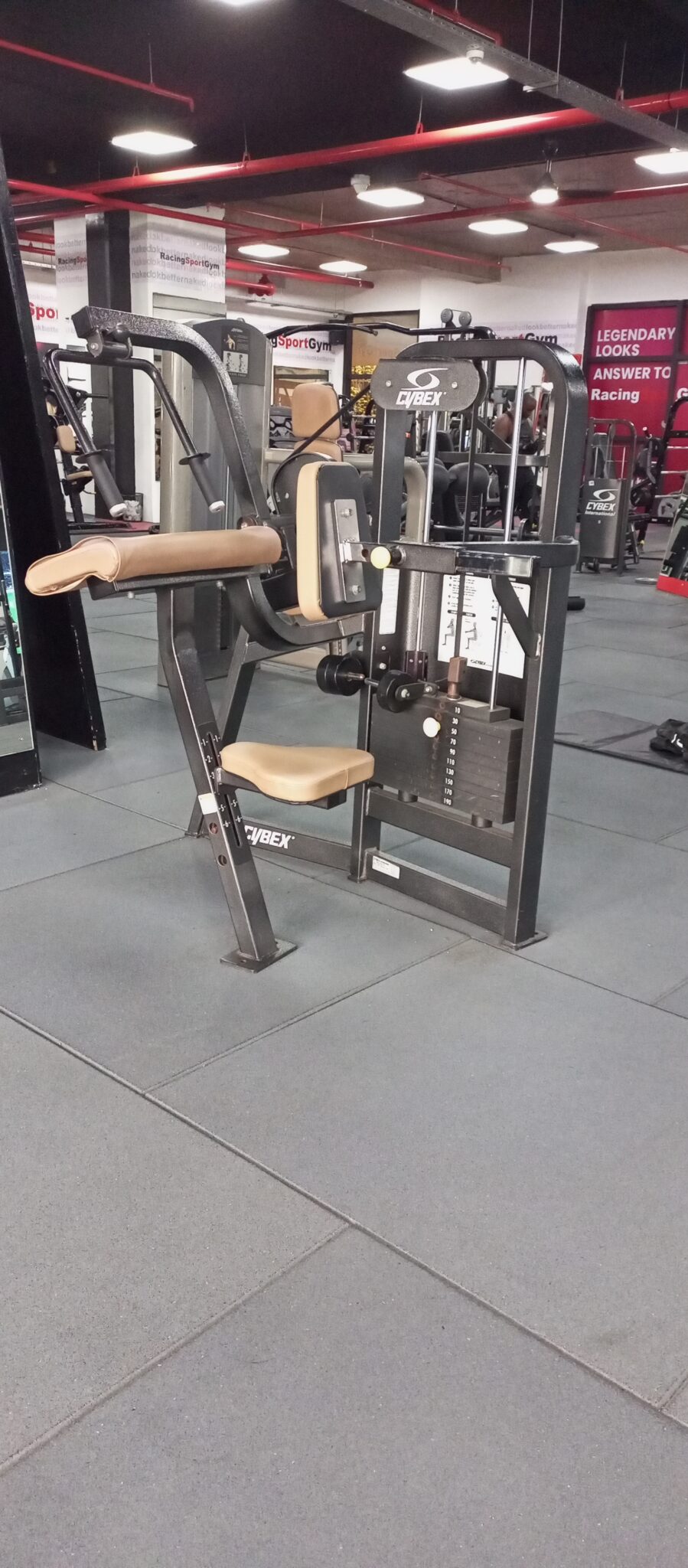 Cybex Arm Extension Machine